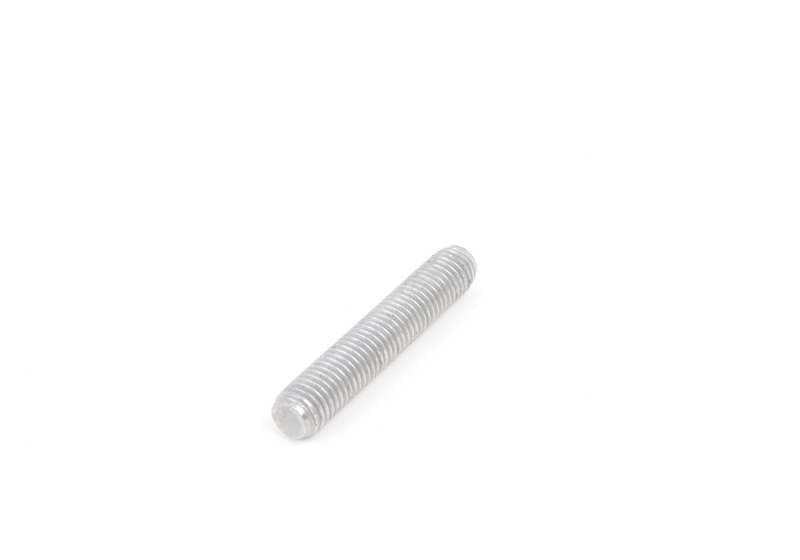 OEM prisoner screw 07129905384 for BMW E36, E46, E60, E61...